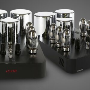 Ayon Epsilon EVO Mono – Ayon Audio Direct